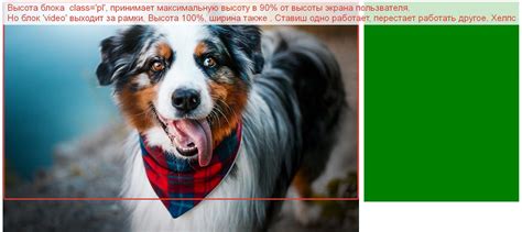 html Не удается сделать содержимое блока адаптивным по высоте stack