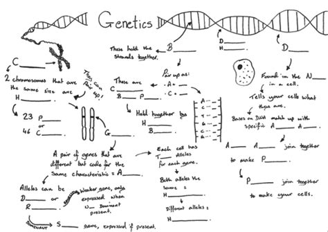 Cb3 Revision Poster Teaching Resources