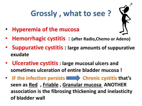 Cystitis Made Easy Pptx