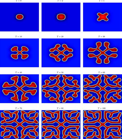 Tumor Simulation With Case 1 On Physical Domain Download Scientific Diagram
