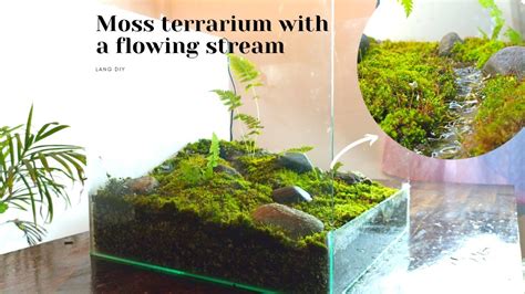 Indoor Moss Garden Terrarium