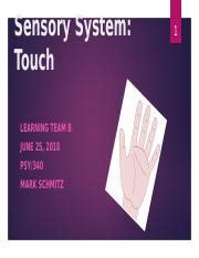 Sensory System Presentation 1 Pptx Sensory System Touch LEARNING
