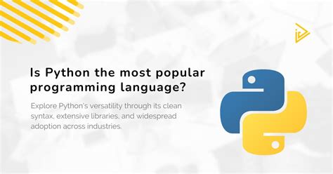 Eugene Dokuzov On Linkedin 🤔 Are You Coding With Python In Your Tech