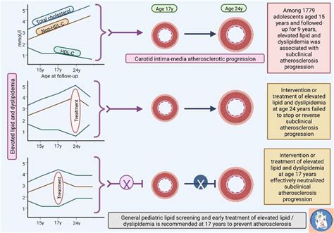 Atherosclerosis May Be Stopped If Lipid Screening And Dyslipidemia Int