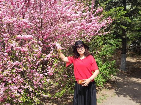 宝清县榆见最美花海 引来路人拍照 知乎