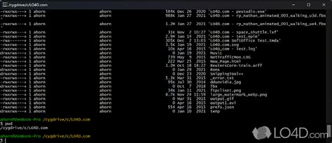 Cygwin Screenshots