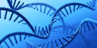 Decoding Cell Free RNA To Spot Cancer Early Drug Discovery News