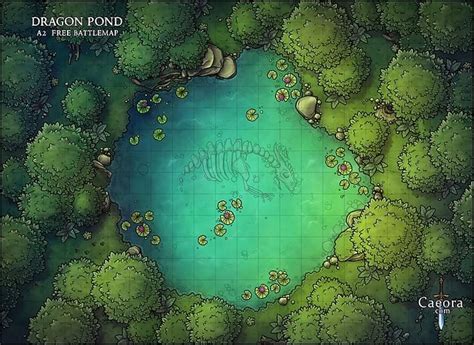 Dragon Pond Caeora Dnd World Map Dungeon Maps Fantasy World Map