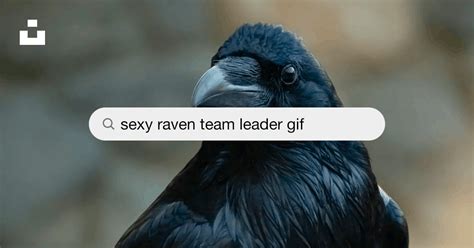 Sexy Raven Team Leader  Pictures Download Free Images On Unsplash