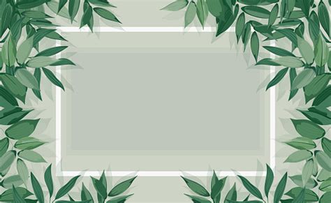 녹색 나뭇잎과 프레임이 있는 벡터 배너입니다 화장품 스파 향수 미용실 여행사 꽃집 청첩장을 위한 이국적인 식물 디자인 스파