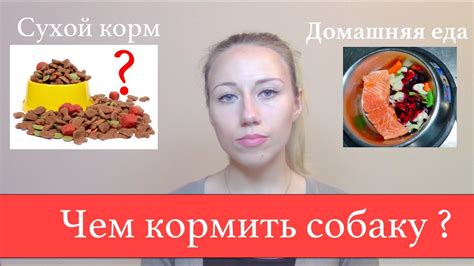 Как кормить собаку Чем кормить собаку Кормление собак Питание собаки