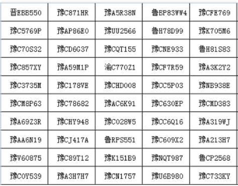 违法曝光 河南高速交警集中曝光近期100辆违法占用应急车道车辆生命