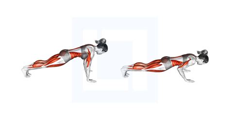 Scorpion Stretch Guide Benefits And Form