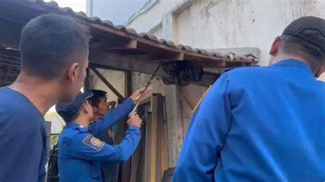 Ular Piton Yang Bergelayut Di Kerangka Gudang Smp Negeri 22 Gresik Buat