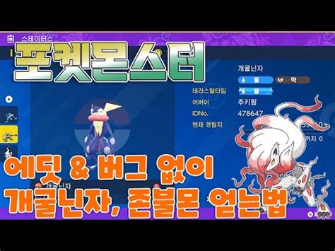 DLC 포켓몬 개굴닌자 존불템 에딧 버그 안 쓰고 얻는 방법 포켓몬 스칼렛 바이올렛 공략 YouTube