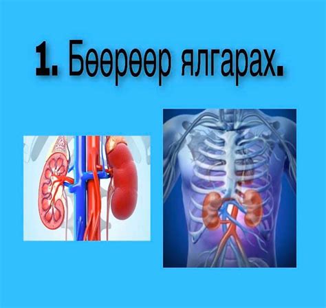 Эм судлаач клуб “Эмийн бодис” бие махбодоос гадагшлах