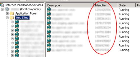 Iis 6 How Do You Work Out The Iis Virtual Path For An Application