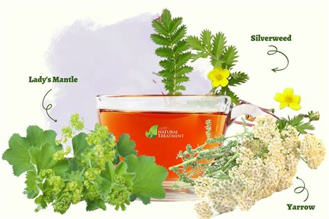 Powerful Natural Remedy For Menstrual Cramps With 3 Herbs