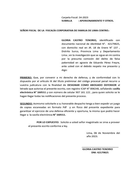 Apersonamiento Y Solicito Copias Sr Garcia Pdf