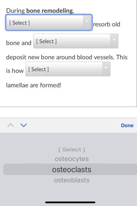 Solved During Appositional Growth Compact Bone Is Deposited