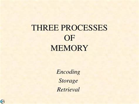 Ppt Three Processes Of Memory Powerpoint Presentation Free Download Id1284273