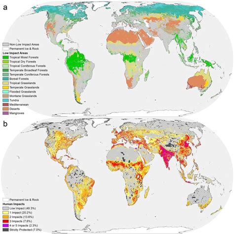 World Map Color Coded