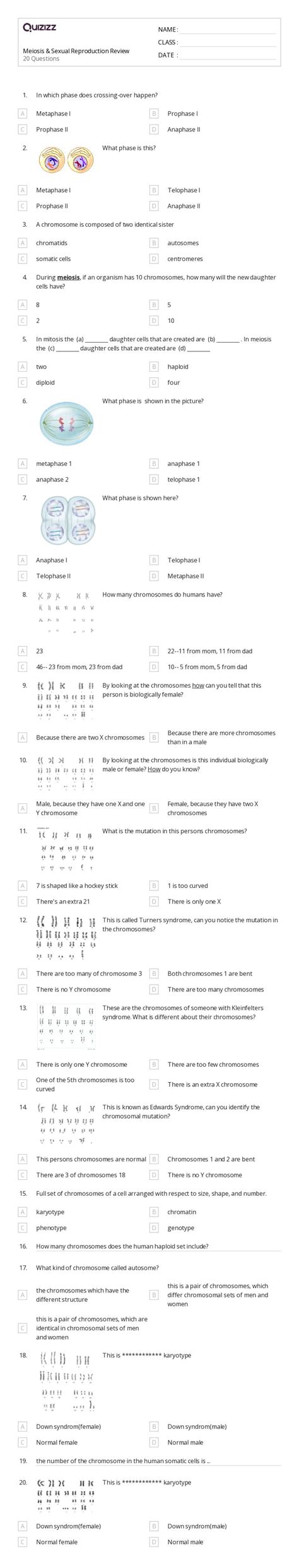 50 Meiosis Worksheets For 10th Grade On Quizizz Free And Printable