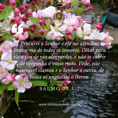 Salmo B Blia Cat Lica Online