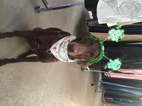 Riley St Patricks Day Picture Mar2015