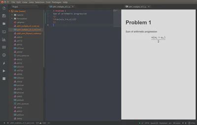 Mathematical Programming Workflow With Julia Jaan Tollander De Balsch