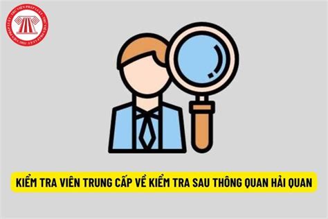 Kiểm tra viên trung cấp về kiểm tra sau thông quan hải quan có quyền hạn gì