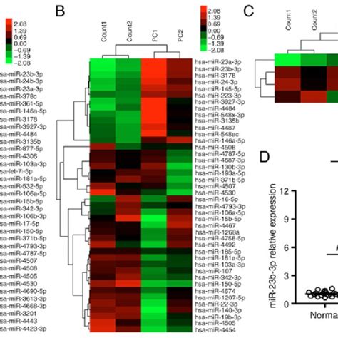 Microarray Analysis Of The Serum Mirna Expression Profile Of Patients