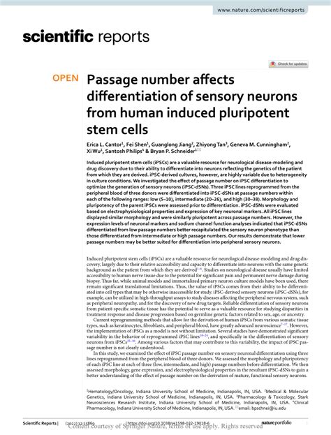 Pdf Passage Number Affects Differentiation Of Sensory Neurons From