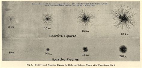 What Are Lichtenberg Figures And How Are They Made