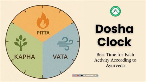 Dosha Clock Best Time For Each Activity According To Ayurveda