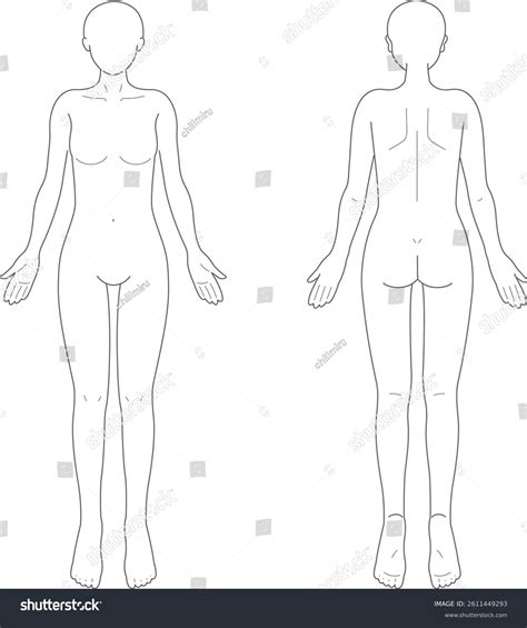 Front Back View Womans Body Stock Vector Royalty Free 2611449293