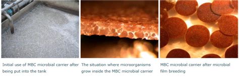 MBBR Mutag Biochip Biofilm Carrier Filter Media 30 1 1