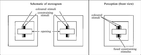 Schematic Representation Of One Of The Random Dot Stereograms Used And
