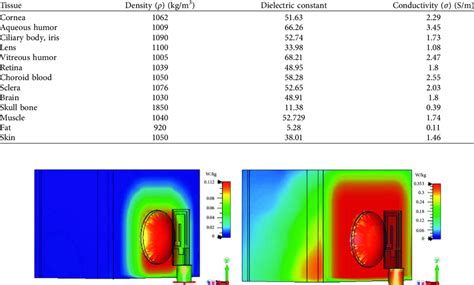 Dielectric Properties Of Biological Tissues Used In Head And Eye Model