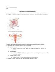 Comprehensive Review Of Reproductive System Structures And Course Hero
