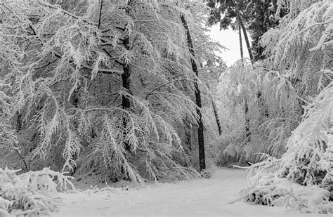 Именины 15 января у кого День ангела и что нельзя делать ⇒ Meteoprog