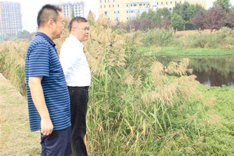 宿城经济开发区积极推进河长制工作 落实绿色发展理念汪育才