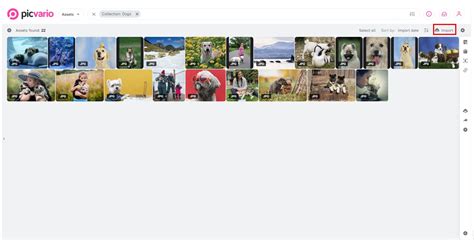 Importing Assets Via The Web Interface Picvario