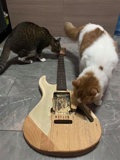 ลองทำตัวแรก String Neighbour Facebook