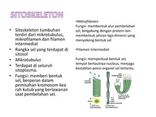 Sel Tumbuhan Lengkap Beserta Organel PPTX
