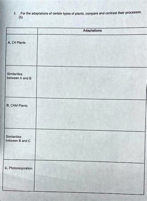 SOLVED Adaptations A C Plants Similarities Between A And B B CAM Plants Similarities