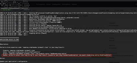 How To Support Reflection · Issue 33638 · Spring Projectsspring Boot · Github