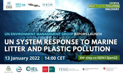 Un System Response To Marine Litter And Plastic Pollution Geneva Beat
