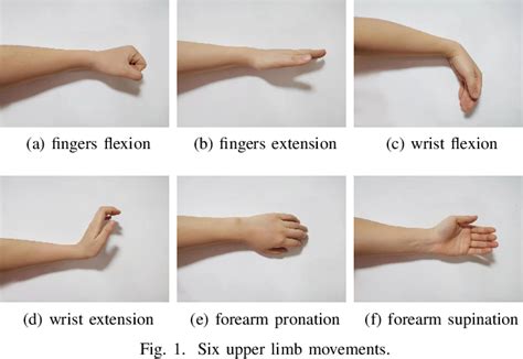 figure 1 from analysis of eeg and semg during upper limb movement