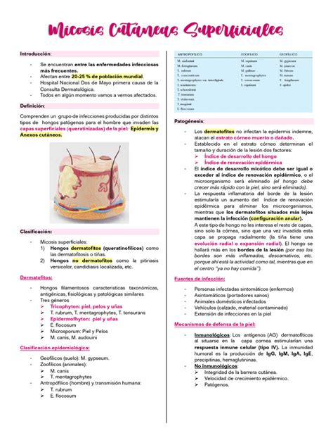 S2 Micosis Superficiales Pdf Inmunología Condiciones Cutáneas